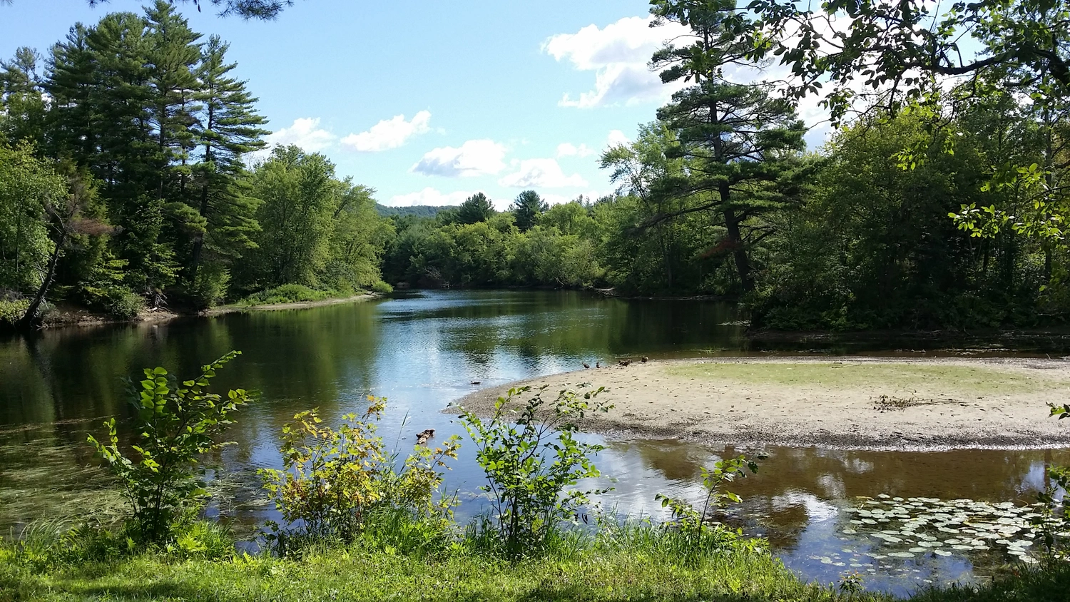 Find Your Campsite - Lake George Riverview Campground